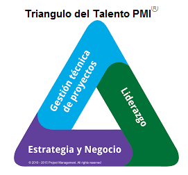 Sobre Nosotros – Proyectos y Gestión en Informática SAS